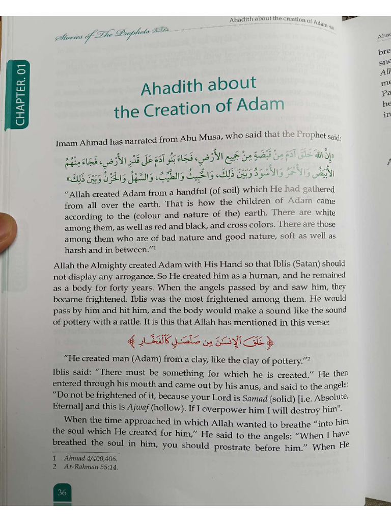 #2.Ahadith About the Creation of Adam | PDF