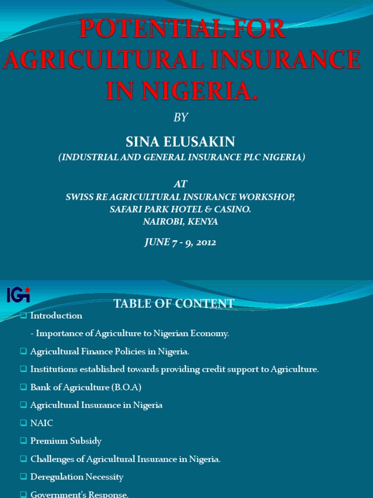 Sina Elusakin: (Industrial and General Insurance PLC Nigeria) | PDF ...