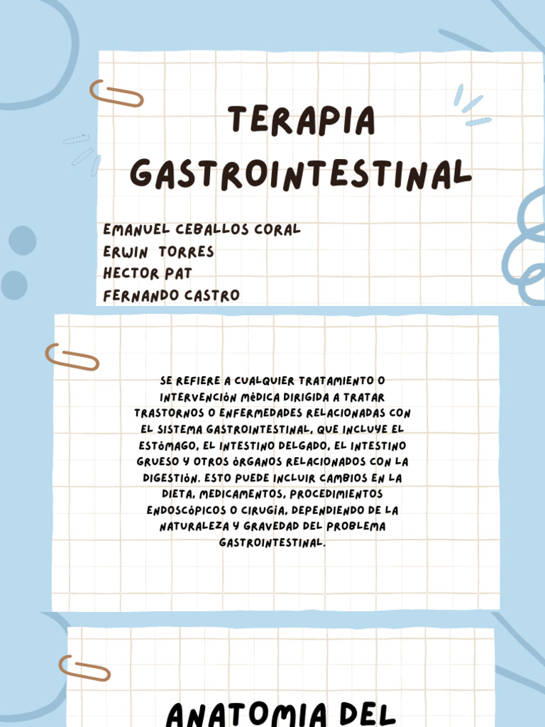 Presentación de Proyecto Divertida Azul | PDF | Digestión | Sistema digestivo humano