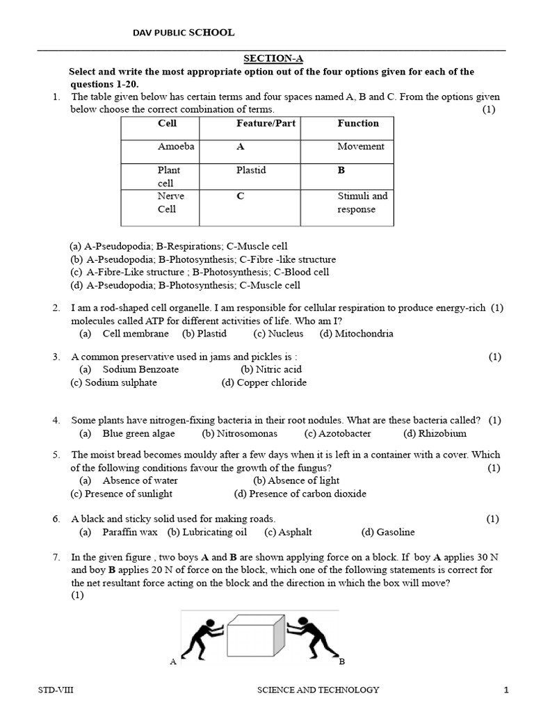 8th Science Sample Paper | PDF | Friction | Sound
