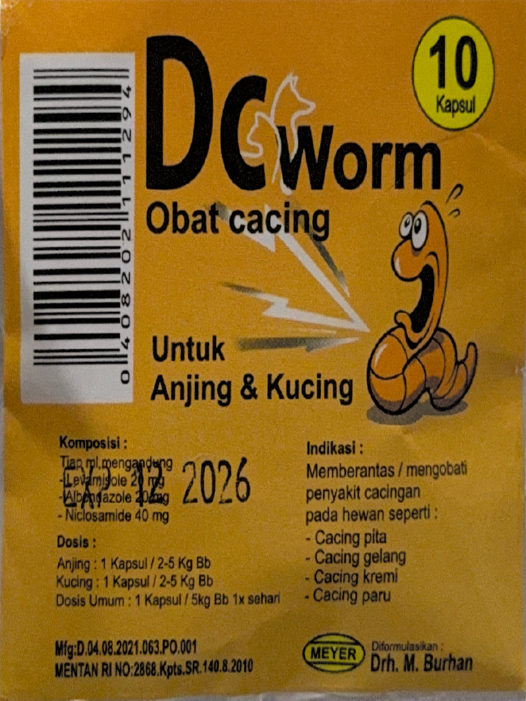 DC Worm | PDF