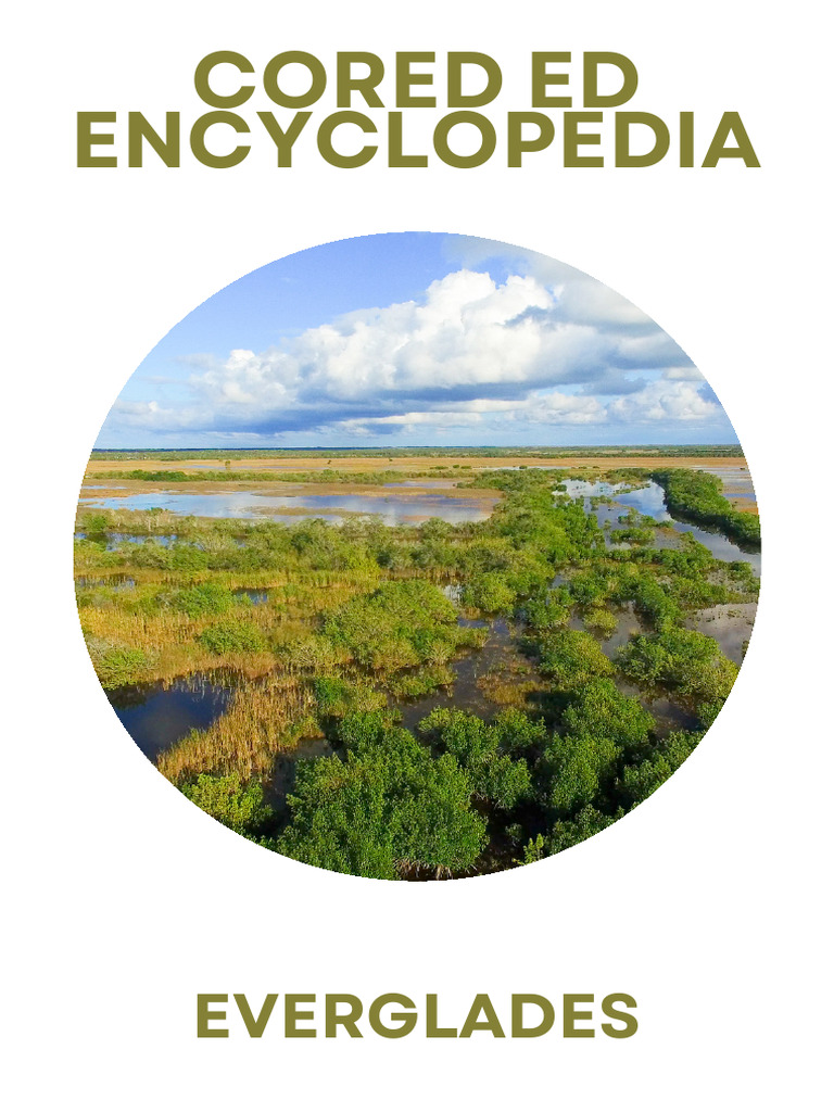 Everglades Reading Comprehension g2-5 | PDF | Everglades | Earth Sciences