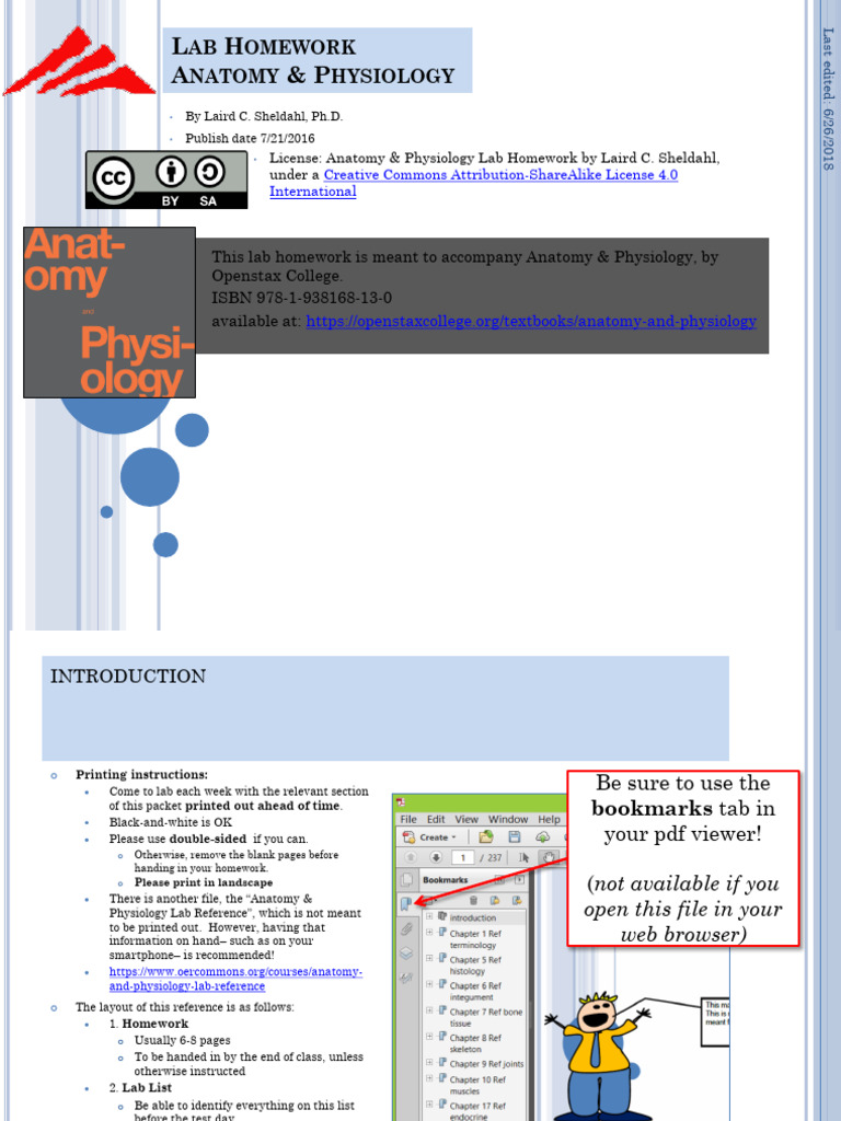 Anatomy and Physiology Lab Homework | PDF | Knee | Vertebra
