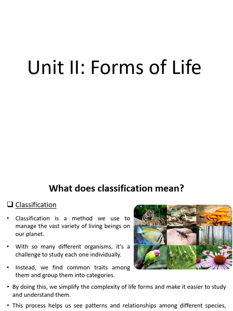 Understanding Life Forms Classification | PDF | Protozoa | Eukaryotes