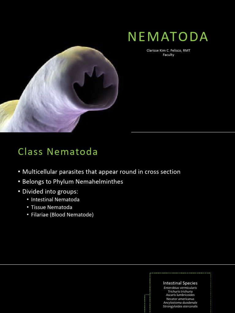 02 Intestinal Nematodes | PDF | Nematode | Parasitology