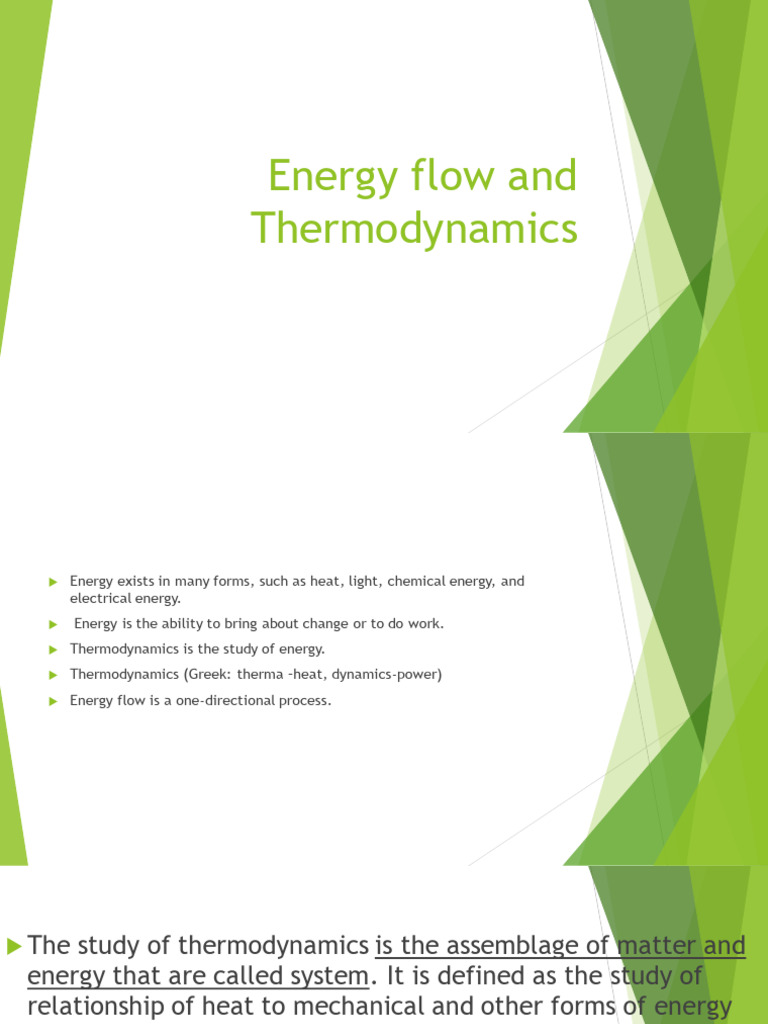 Understanding Energy Flow & Thermodynamics | PDF | Redox | Gibbs Free ...
