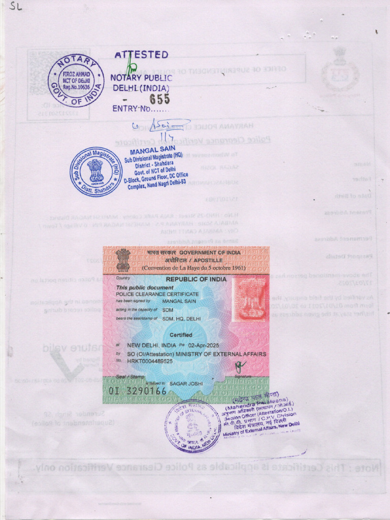 Delhi Sample 2 | PDF
