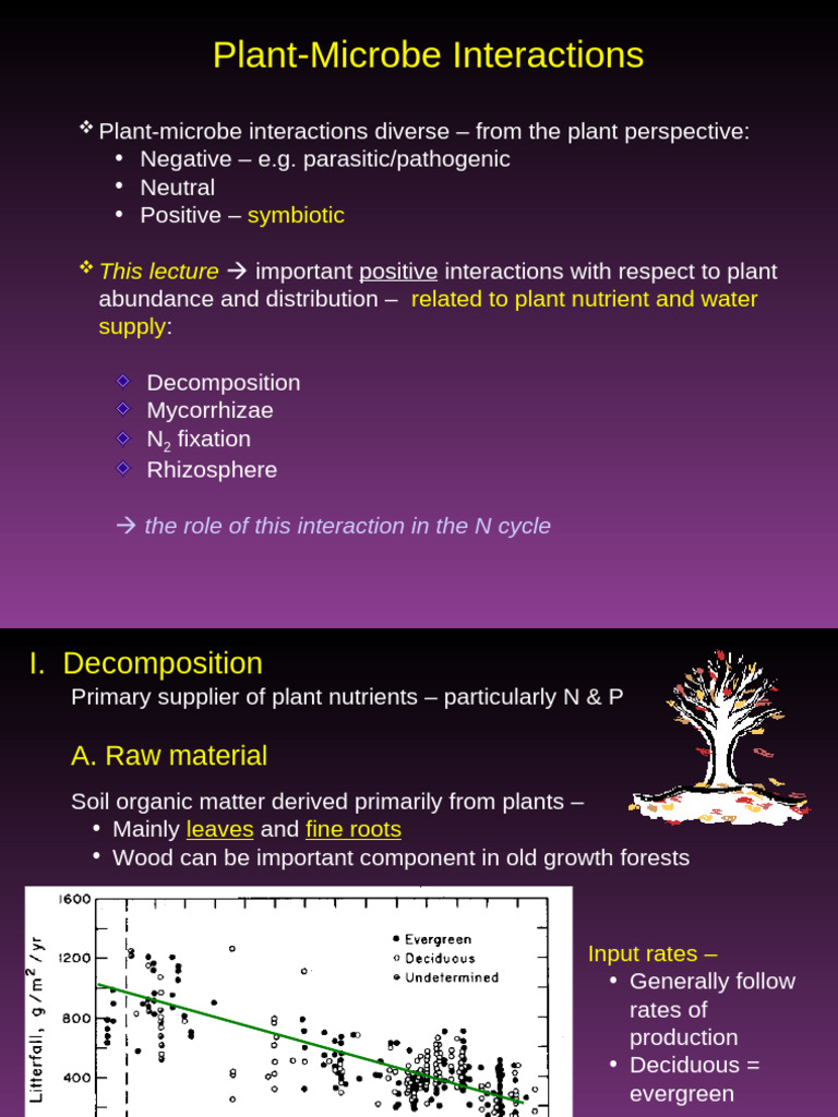 Plant Microbe Interaction | PDF | Ammonium | Soil