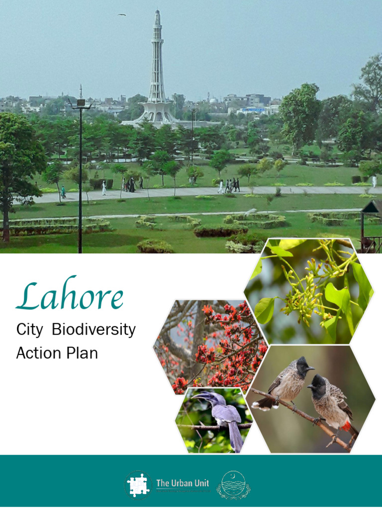 Lahore_CBAP_19062025 | PDF | Carbon Sequestration | Conservation Biology