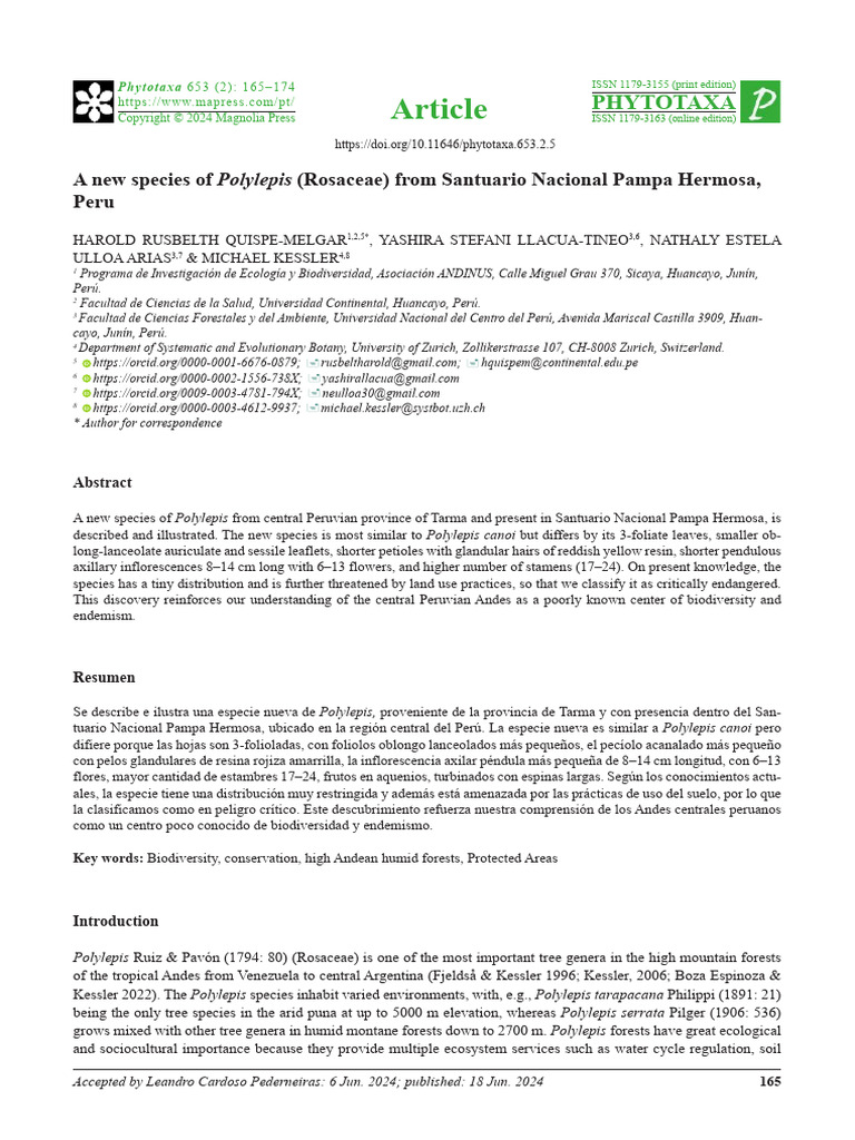 New Polylepis Species from Peru | PDF | Leaf | Plants