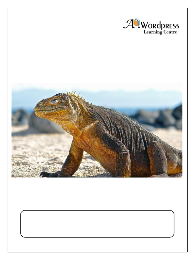 Komodo Dragon Facts and Insights | PDF