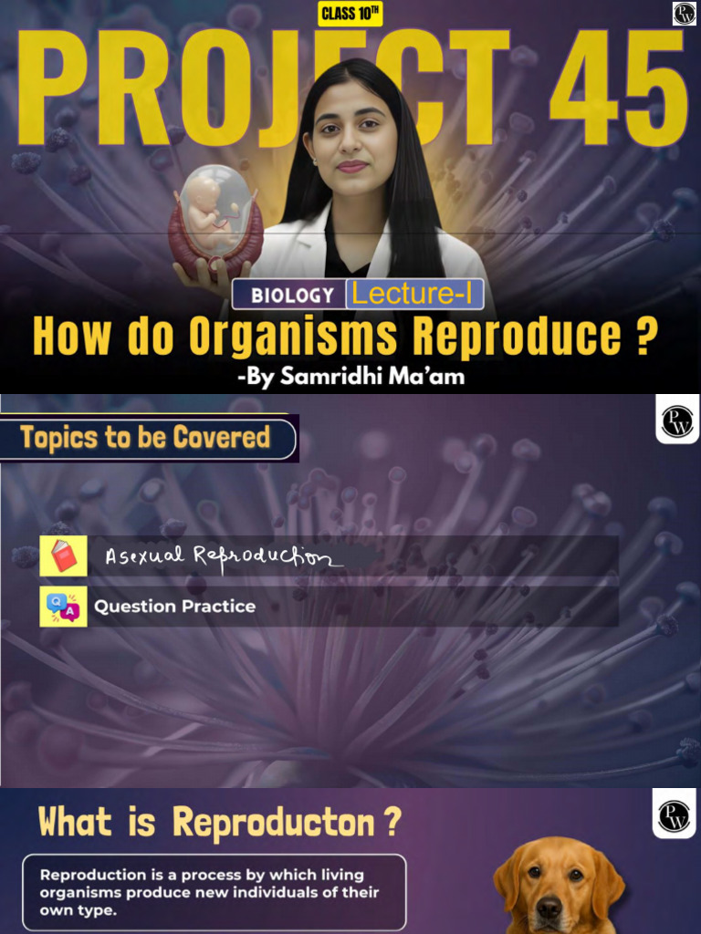 How Do Organisms Reproduce? 01: Class Notes | PDF