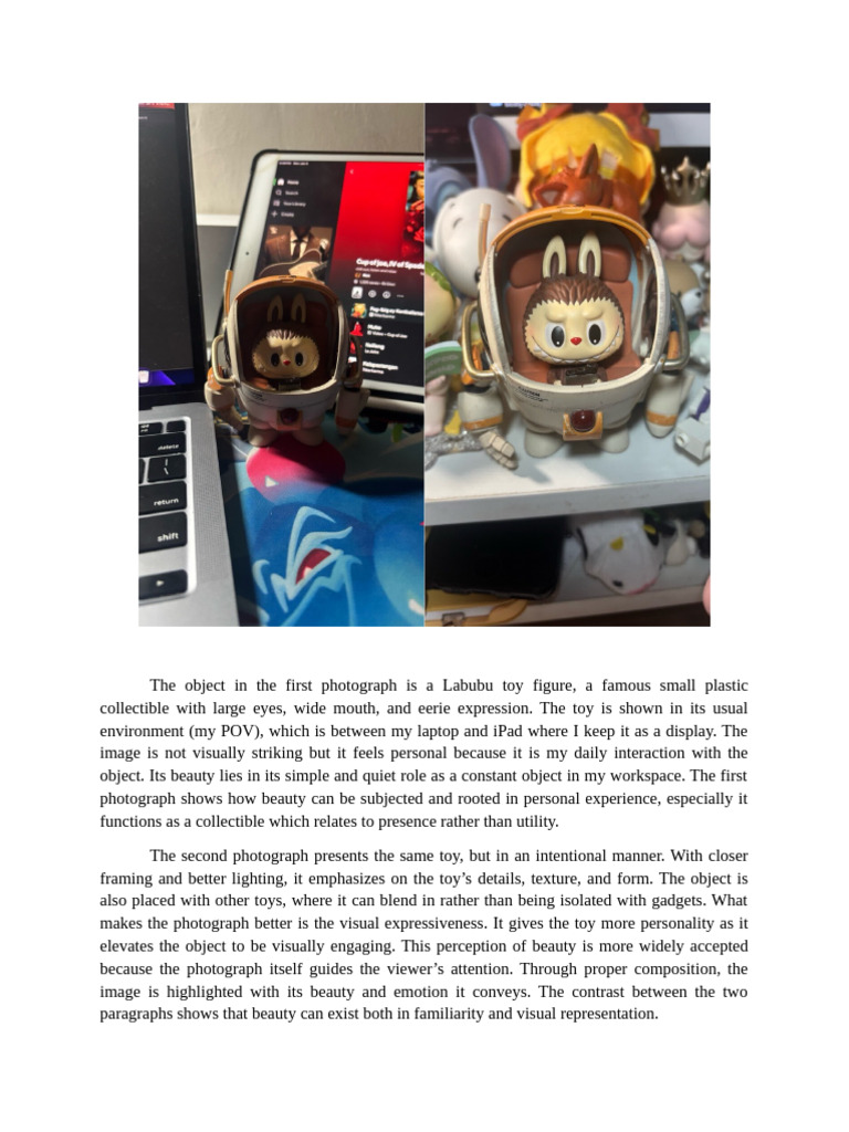 Exploring Beauty in Labubu Toy Photography | PDF