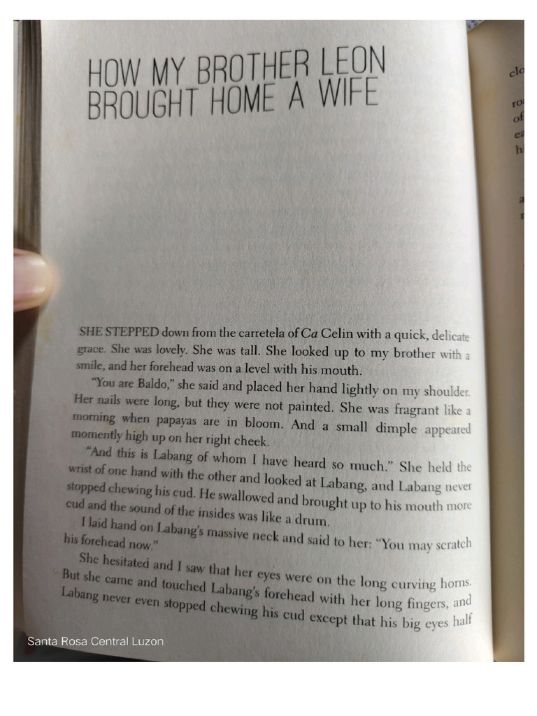 How My Brother Leon Brought Home A Wife | PDF