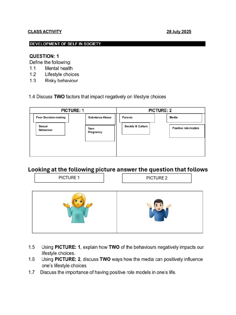 Teen Risky Behaviors and Support Systems | PDF