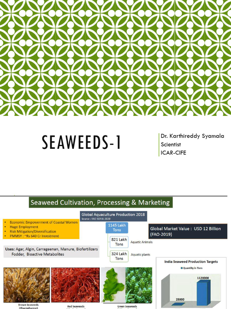 Seaweeds | PDF | Coast | Seaweed