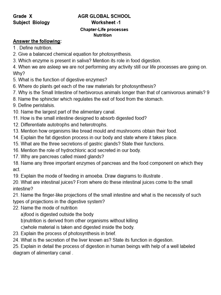 Biology Worksheet on Nutrition Concepts | PDF