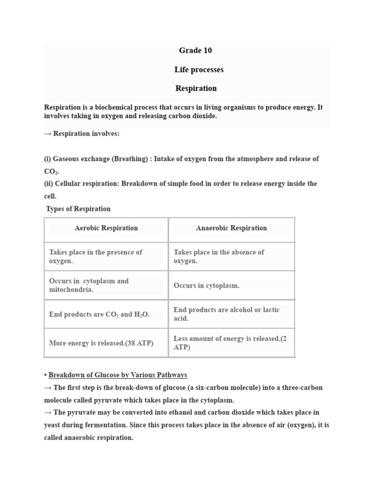 Understanding Respiration in Organisms | PDF | Cellular Respiration ...