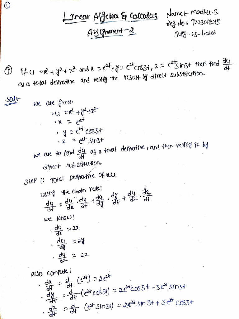 Linear Algebra & Calculus Assignment 2 | PDF