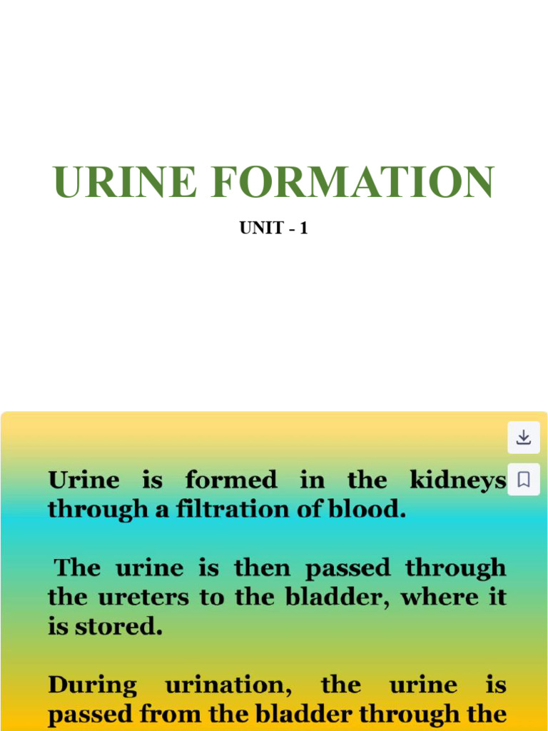 Urine Formation | PDF
