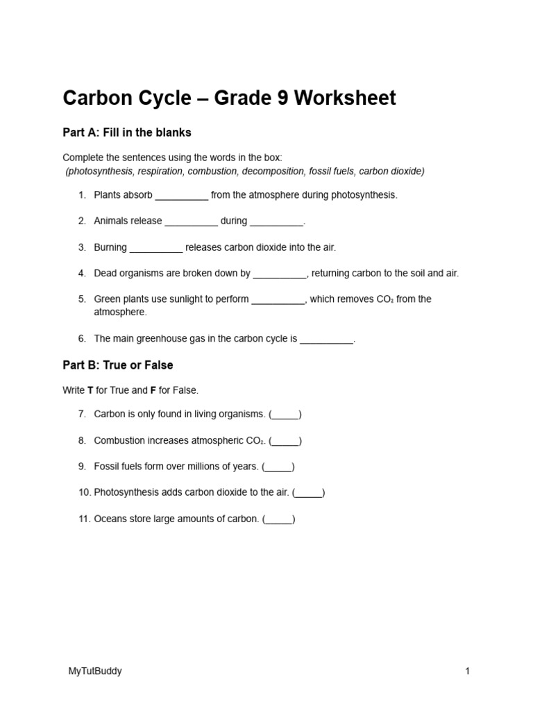Grade 9 Carbon Cycle Worksheet | PDF
