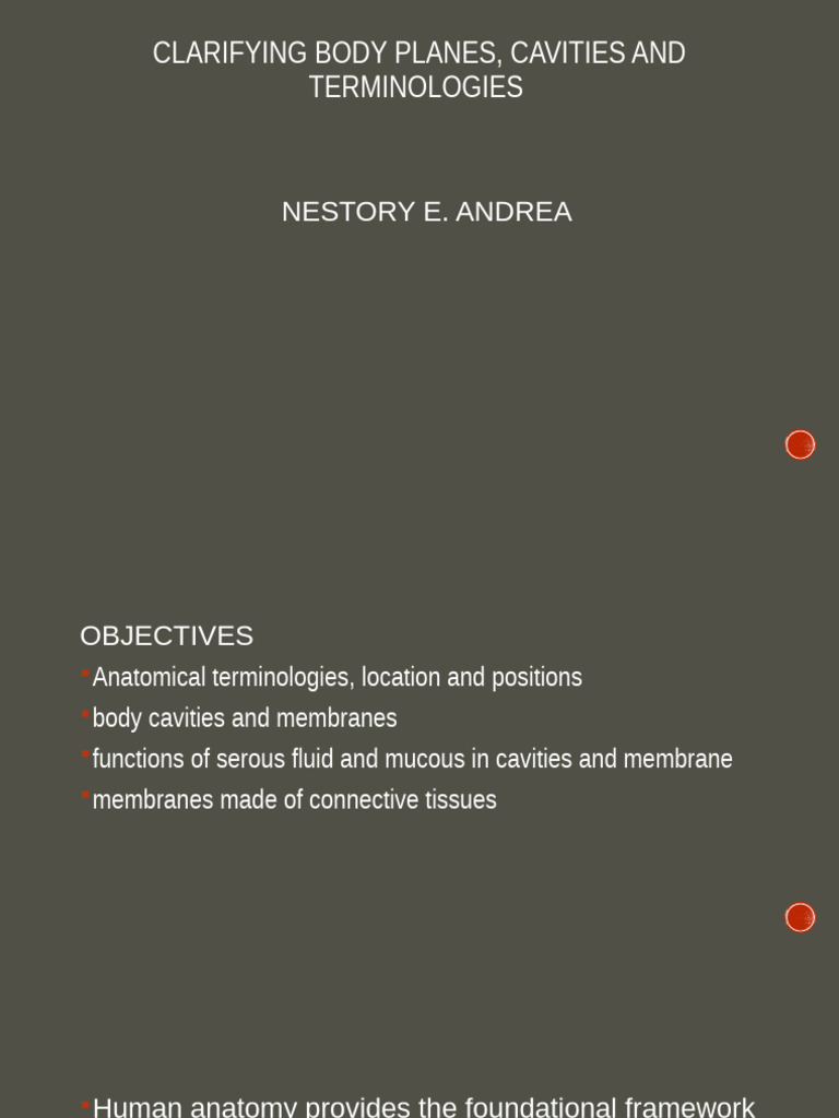 Understanding Body Planes and Cavities | PDF | Anatomical Terms Of ...