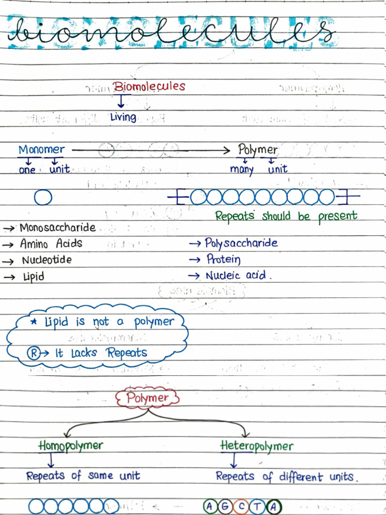Hand Notes 1 | PDF