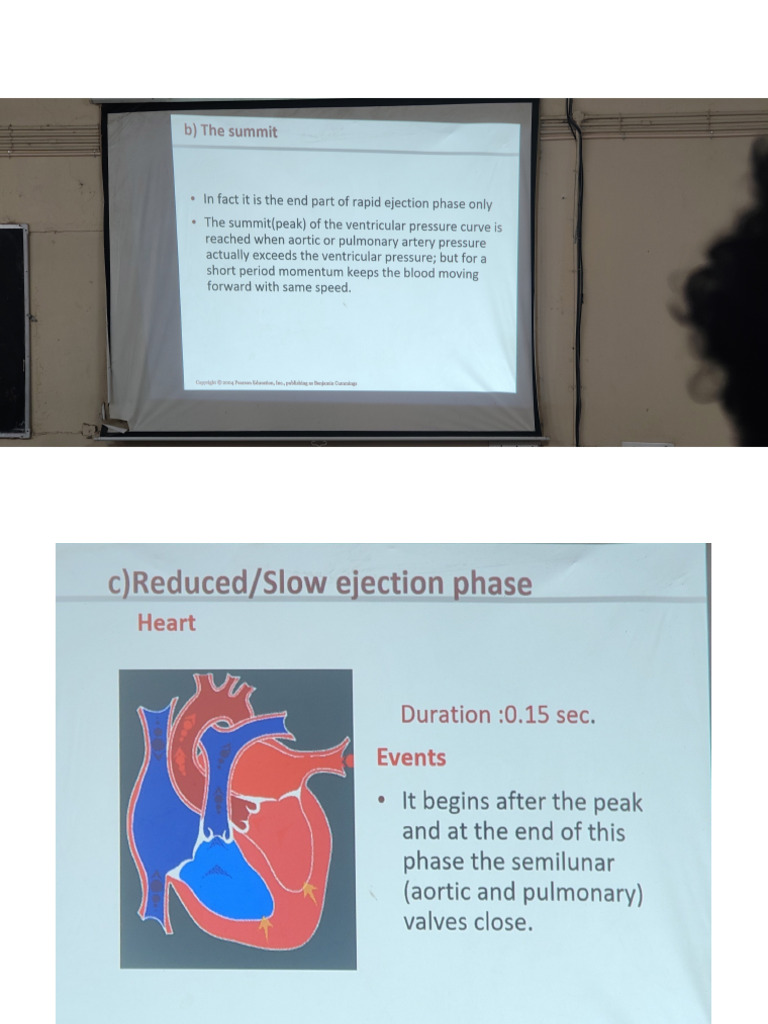 CVS 14 | PDF