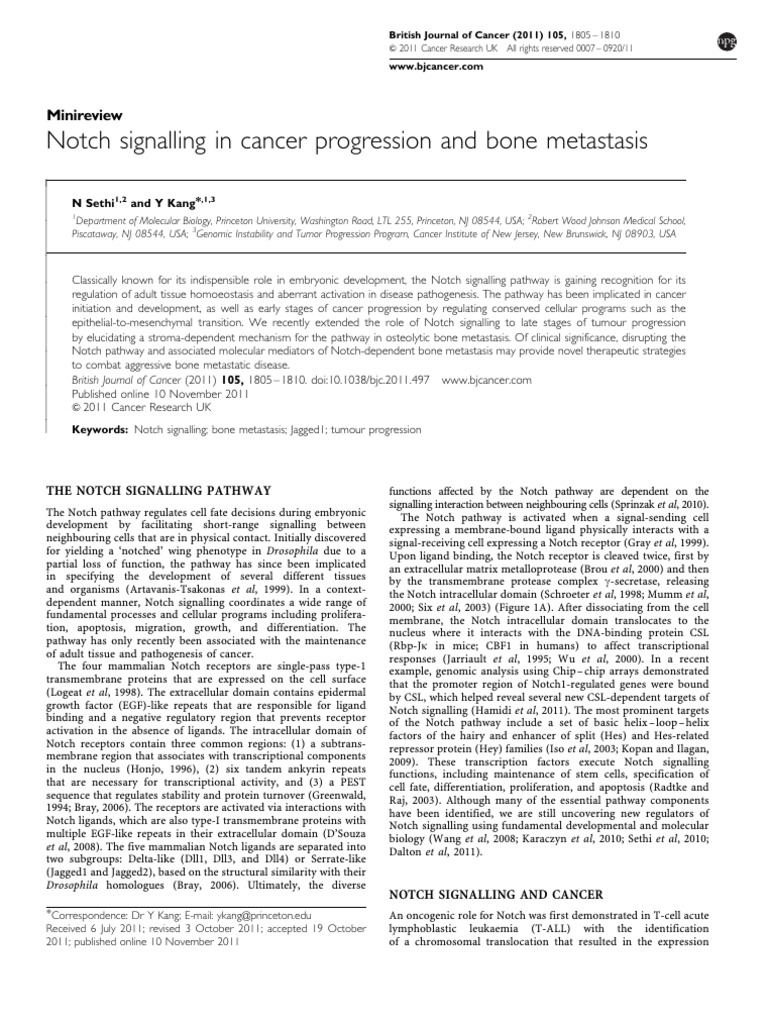 Notch in Bone Metastasis | PDF | Metastasis | Interleukin 6
