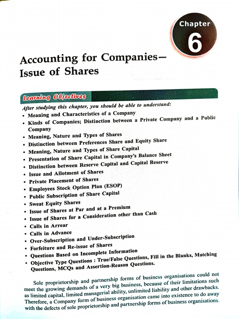 Issue of Shares - Company's Accounting | PDF