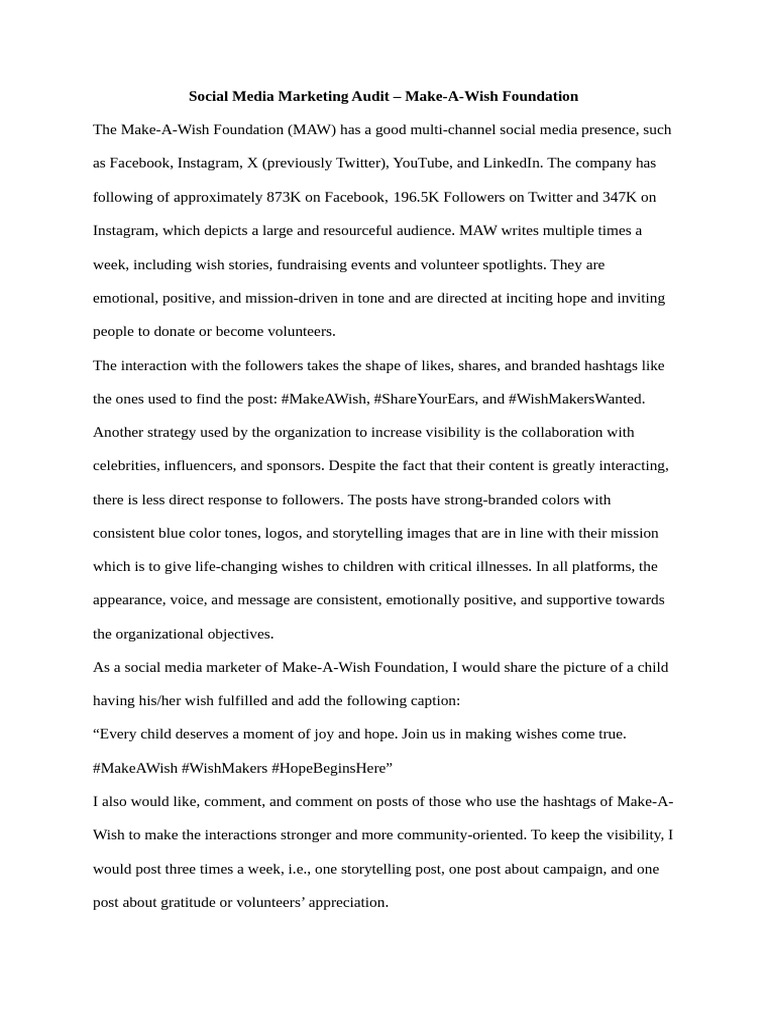 Social Media Marketing Audit | PDF