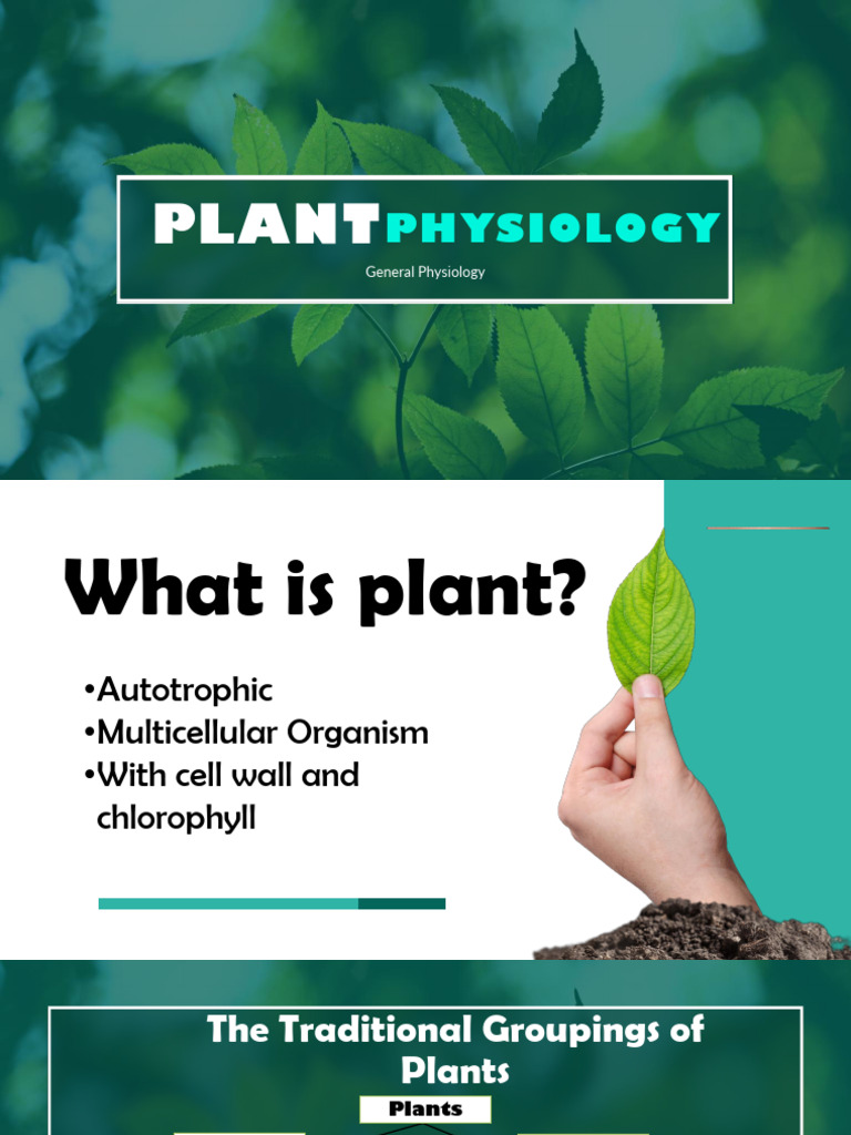 Plant Physiology and Nutrition Overview | PDF | Fruit | Plant Nutrition