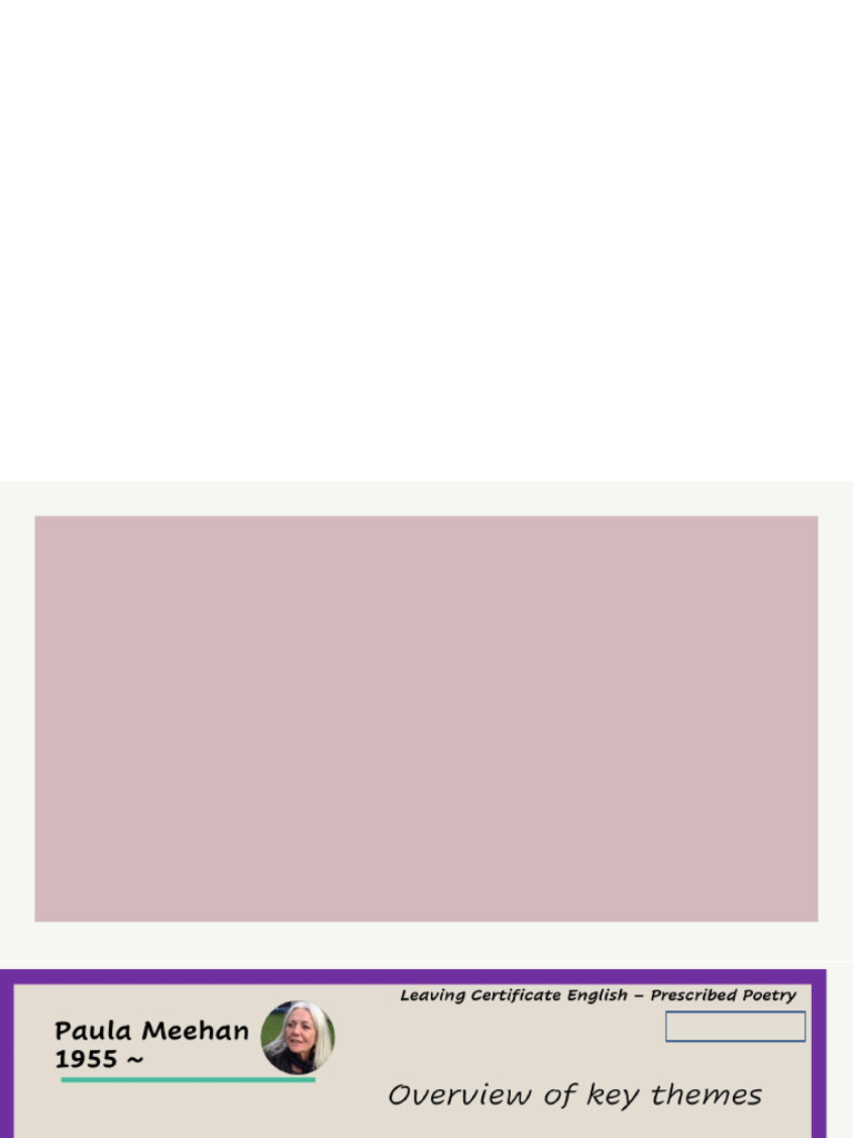 Paula Meehan: Poetry and Social Justice | PDF | Poetry