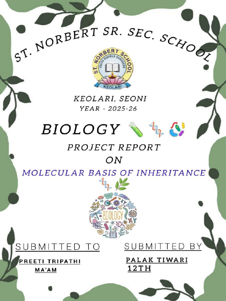 Image_PDF_20260107_1816 | PDF