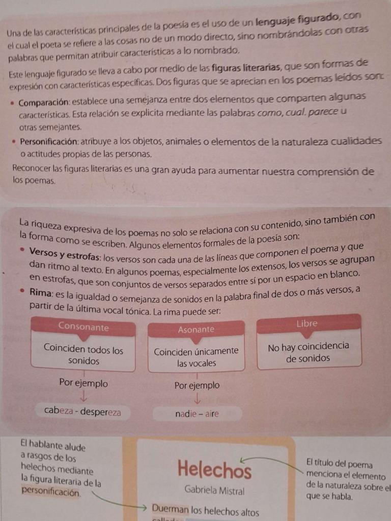Waaaa | PDF