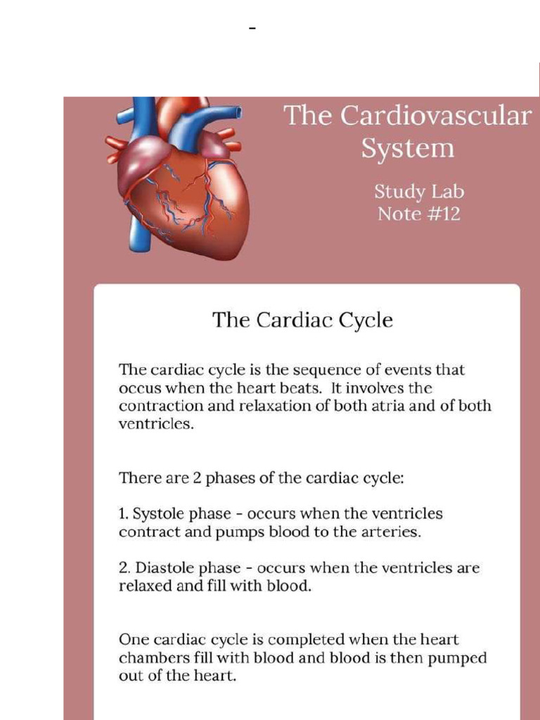 Cardiac Case Study Ngn | PDF | Hypertension | Blood Pressure