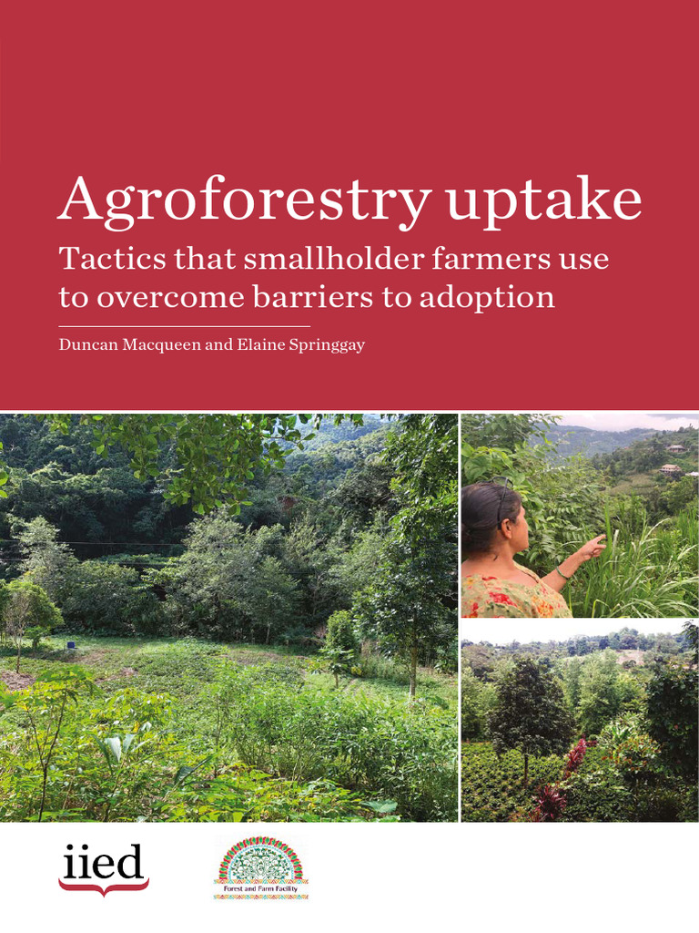 22677 Iied | PDF | Biodiversity | Climate Change Mitigation