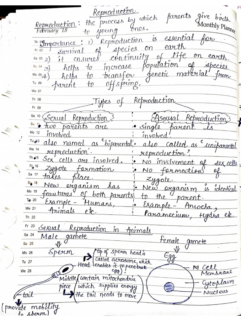 How Do Organisms Reproduce | PDF