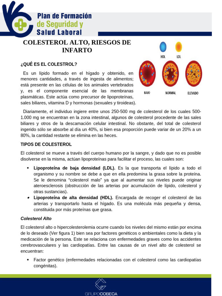 Colestrol Alto, Riesgos de Infartos P | PDF | Colesterol | Lipoproteína