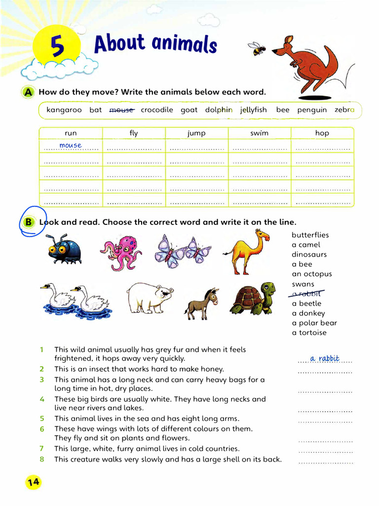Homework_Fun for Flyers Practice | PDF | Dinosaurs | Zoology
