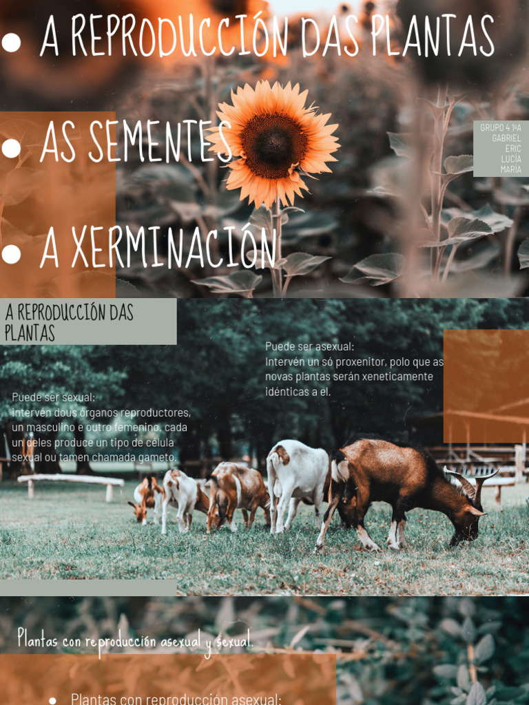 Trabajo Horto Compactado | PDF