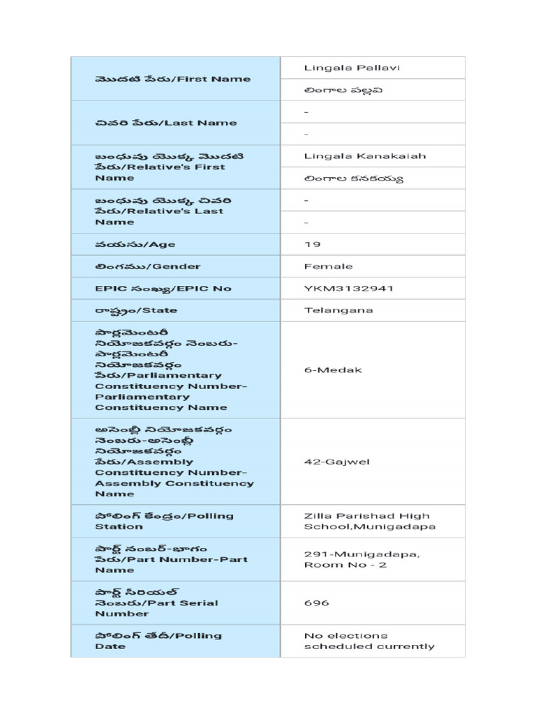 Voter Information | PDF