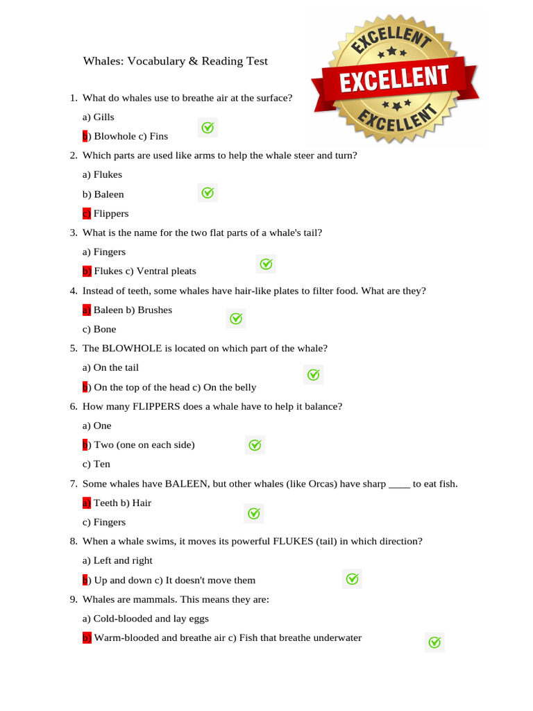 Whales Vocabulary & Reading Quiz | PDF
