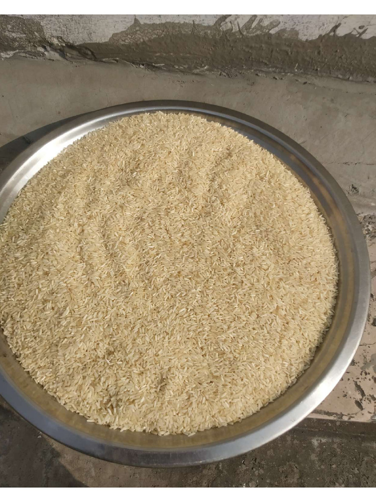 Poor Quality of Daawat Rozana Rice 5kg Pictures | PDF