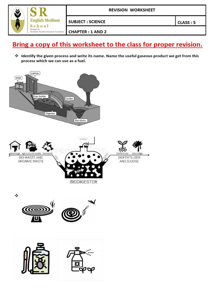 17-11-2025 Science Revision Worksheet. | PDF