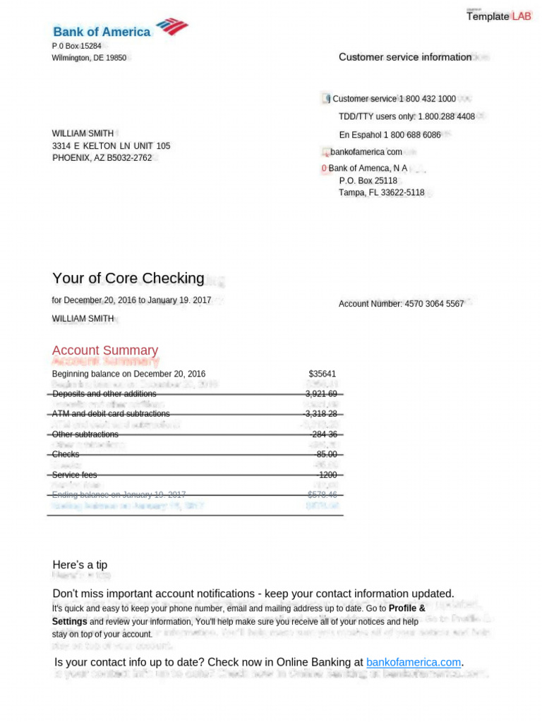 Bank of America Account Summary 2016 | PDF