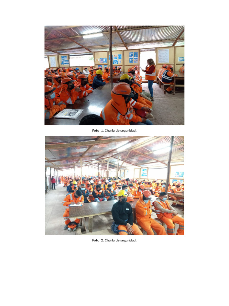 Panel Fotografico Abril 2 | PDF