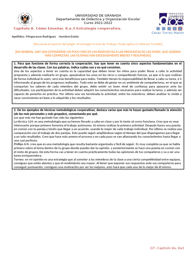 GT8a3 Estela Mingorance Rodríguez | PDF | Cognición