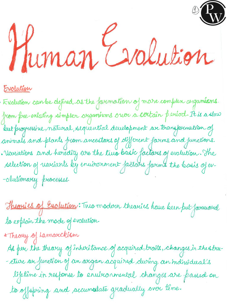 Human Evolution Handwritten Notes | PDF