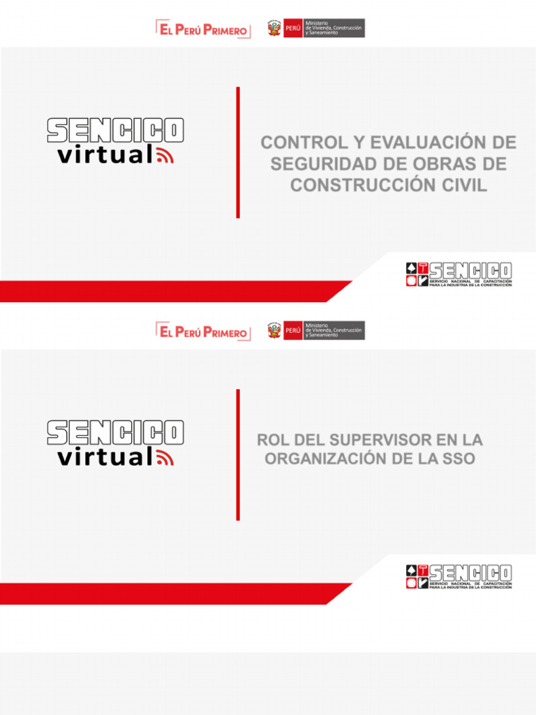 1. ROL DEL SUPERVISOR EN LA ORGANIZACION DE LA SSO | PDF | La seguridad ...